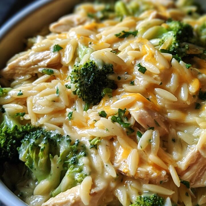 Cheesy Chicken Broccoli Orzo - Travelers Wizard