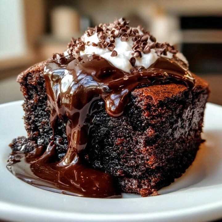 Hot Fudge Chocolate Pudding Cake - Travelers Wizard
