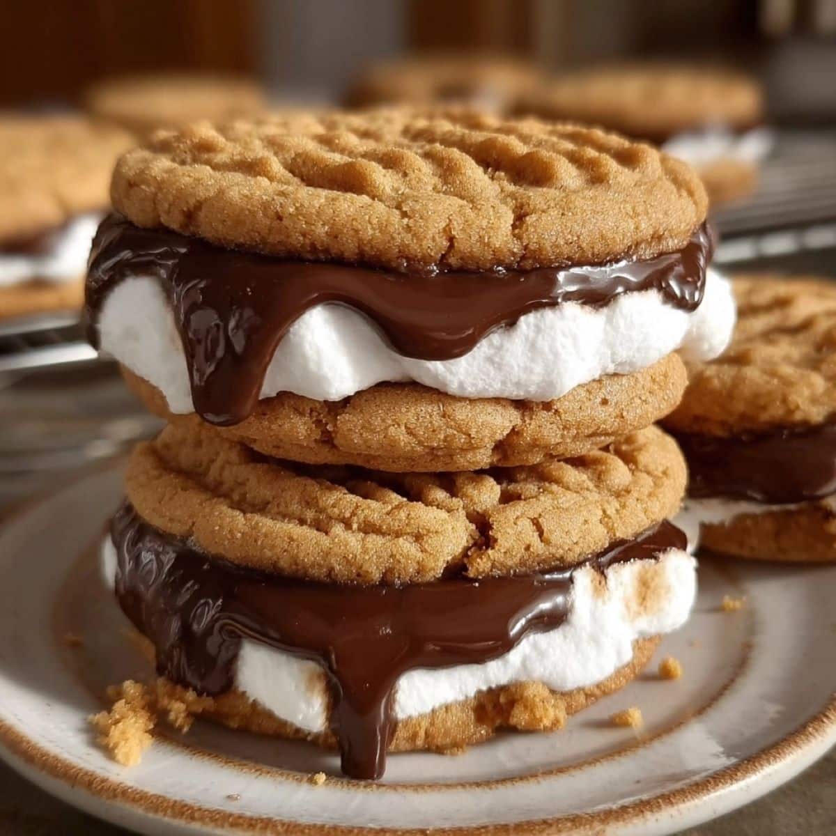 Peanut Butter S'mores Sandwich Cookies - Travelers Wizard